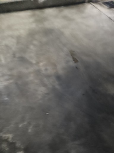 TO20251200974 | DXplace